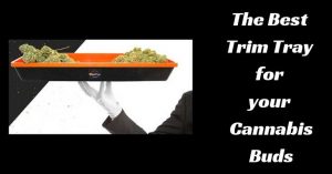 The Best Trim Tray for your Cannabis Buds 2025